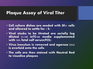 Quantitative Real-Time PCR for Rapid and Accurate Titration of ...