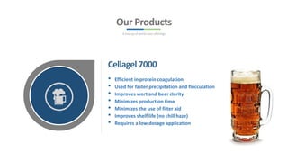 ACCEL PRESENTATION for AV | PPTX