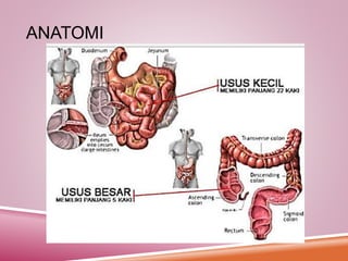 304906675 referat-intususepsi | PPTX