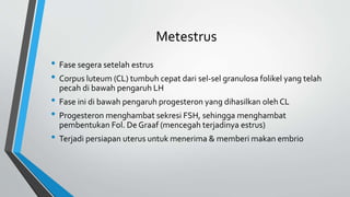 304988266-PPT-FIX.pptx, Sinkronisasi Estrus | PPTX