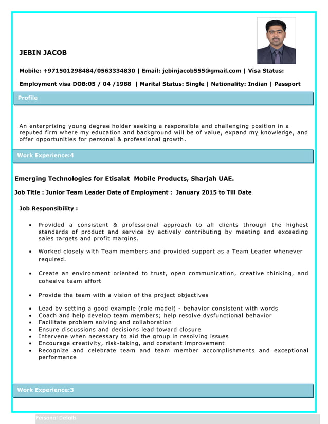 Jebin Jacob CV | DOC | Sales | Business