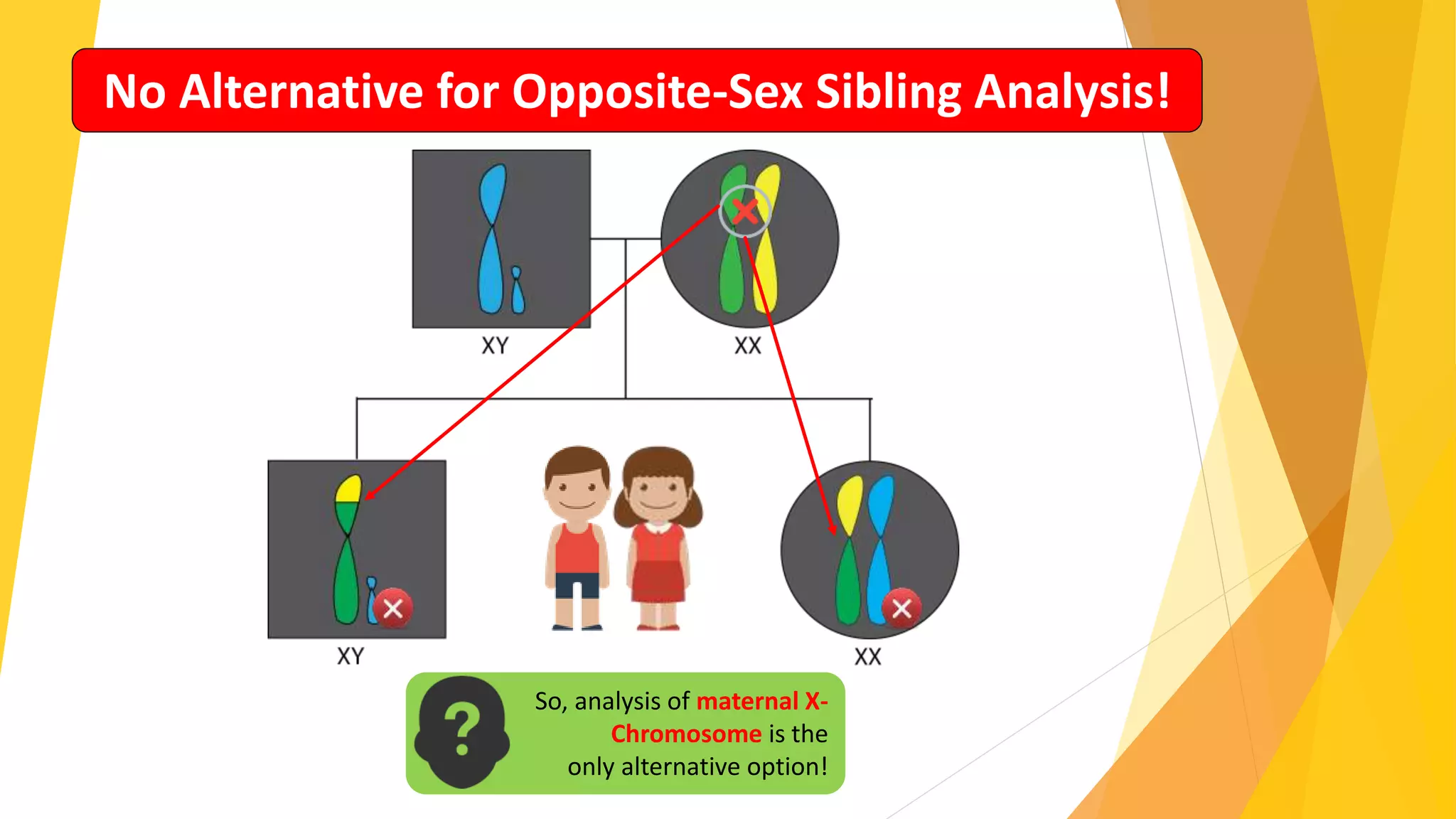 Importance of X-STR Linkage Groups in the Establishment of Maternal Relatedness in Opposite Sex ...