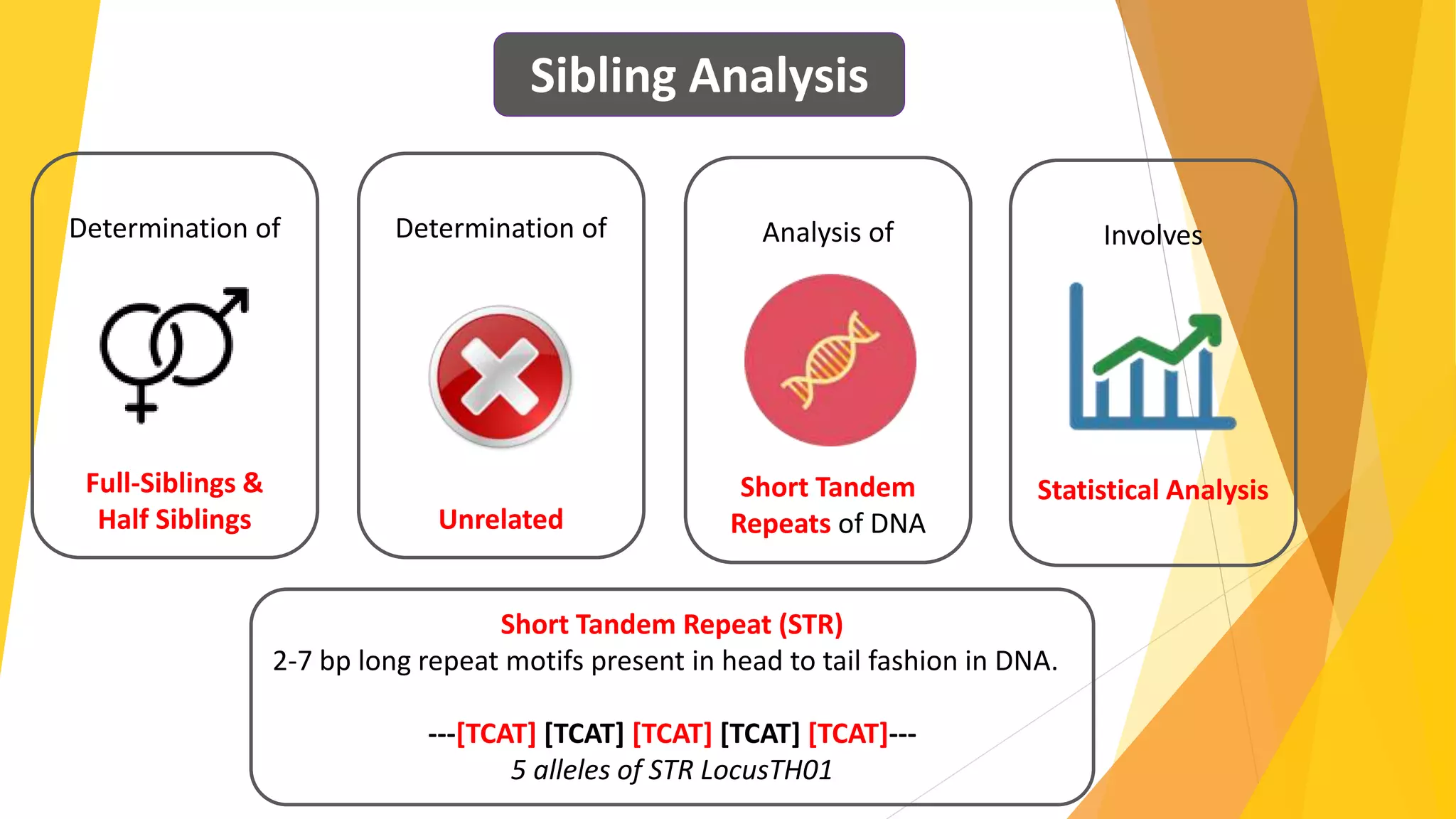 Importance of X-STR Linkage Groups in the Establishment of Maternal Relatedness in Opposite Sex ...
