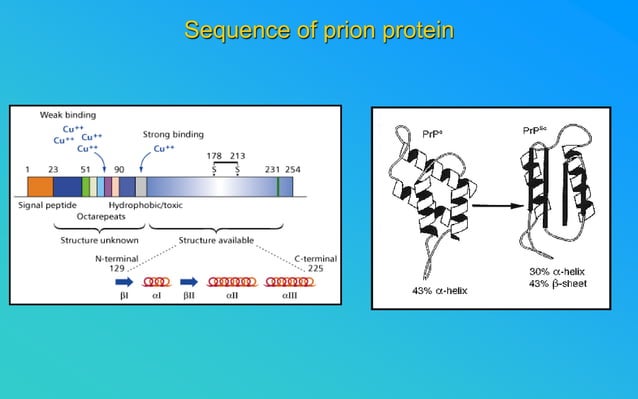 30511 prions.ppt