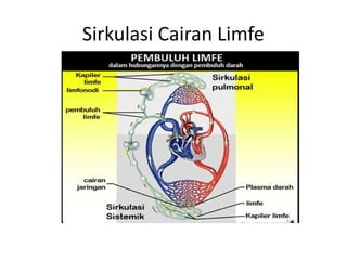 Sirkulasi-Cairan-Limfe imunologi ilmu.pptx