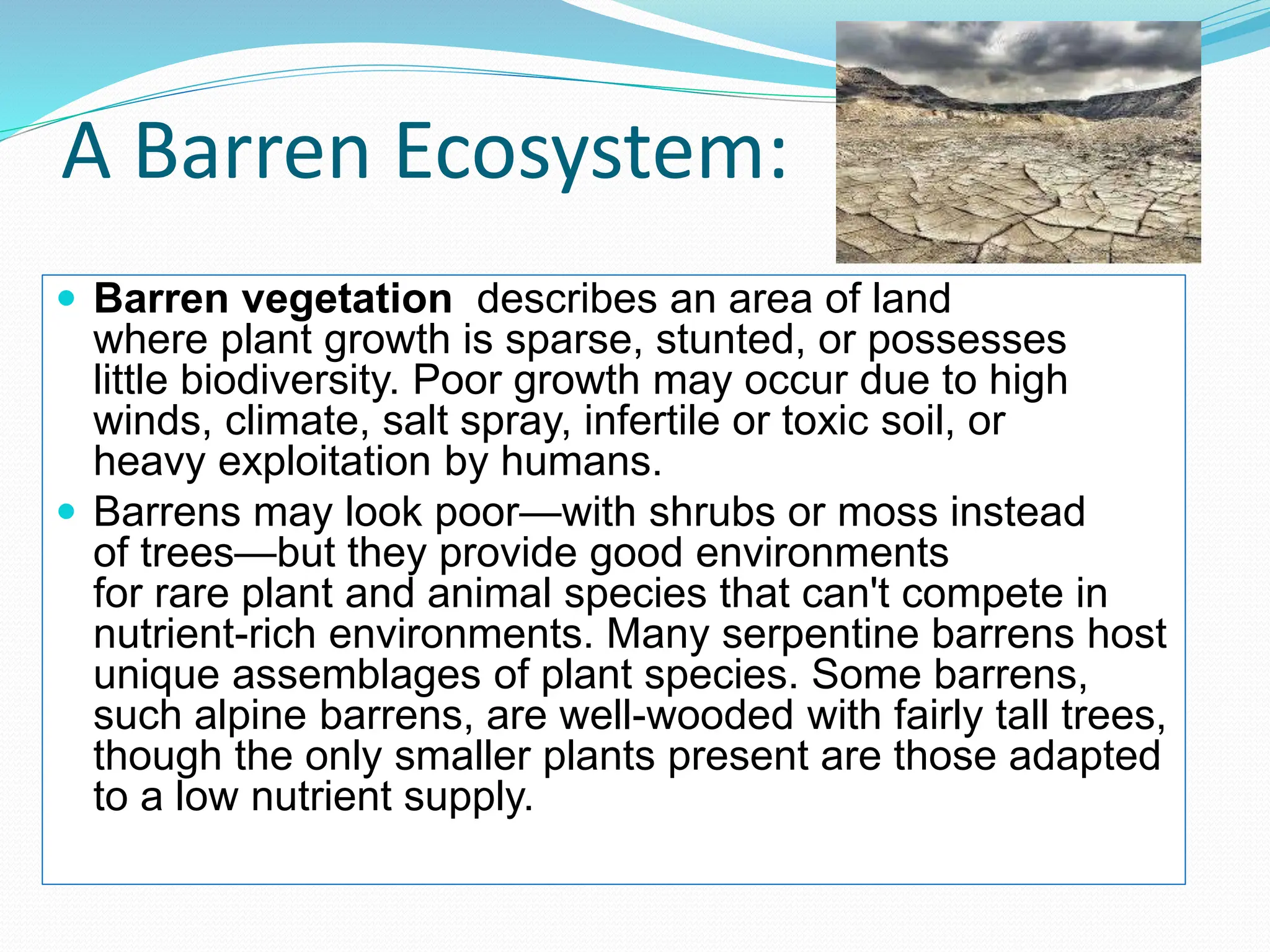 ecosystem class 12 ppt investigatory project | PPTX