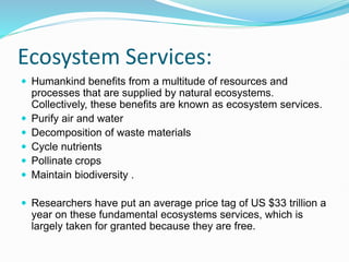 ecosystem class 12 ppt investigatory project | PPTX