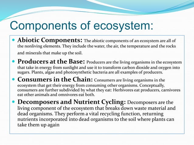 ecosystem class 12 ppt investigatory project | PPTX | Landscaping ...