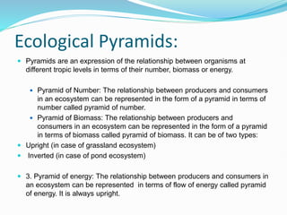 ecosystem class 12 ppt investigatory project | PPTX