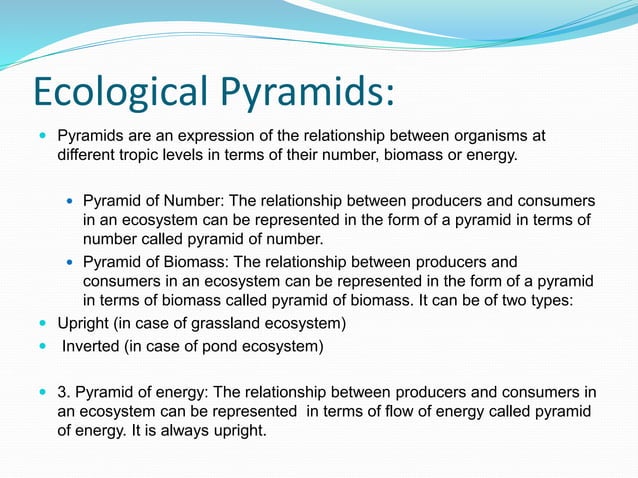 ecosystem class 12 ppt investigatory project | PPTX | Landscaping ...