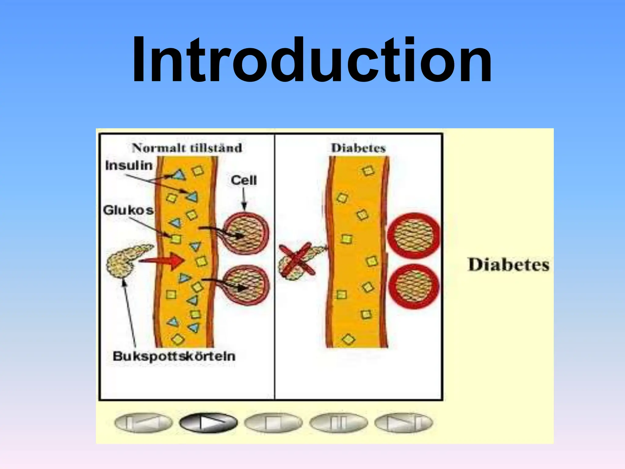 305519652-Diabetes-Mellitus.ppt