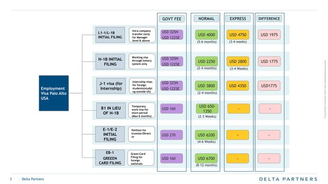 USA visa process | PPTX