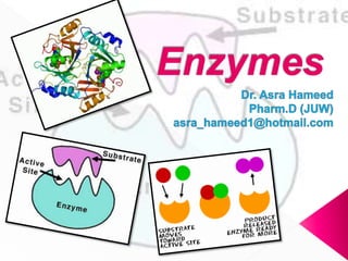 enzymes | PPTX