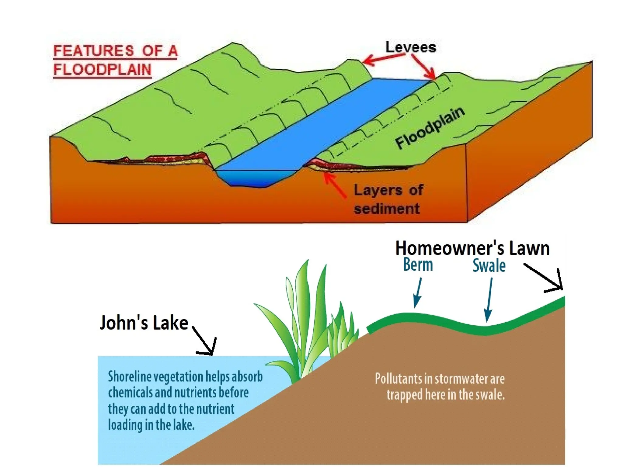 305 lect 19organic ecosystem and their concepts.ppt