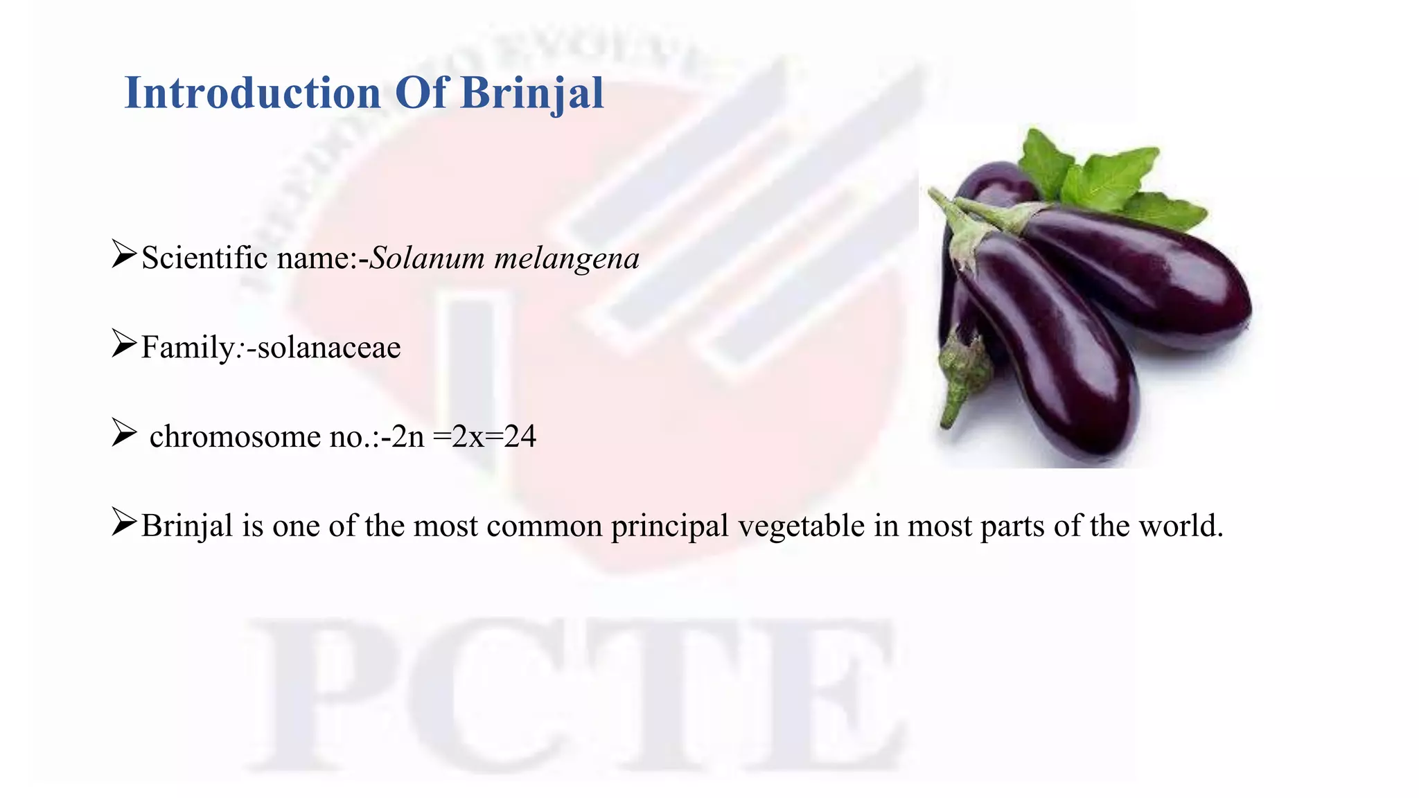 physiological disorders ,disease and insect pest in tomato and Brinjal ...
