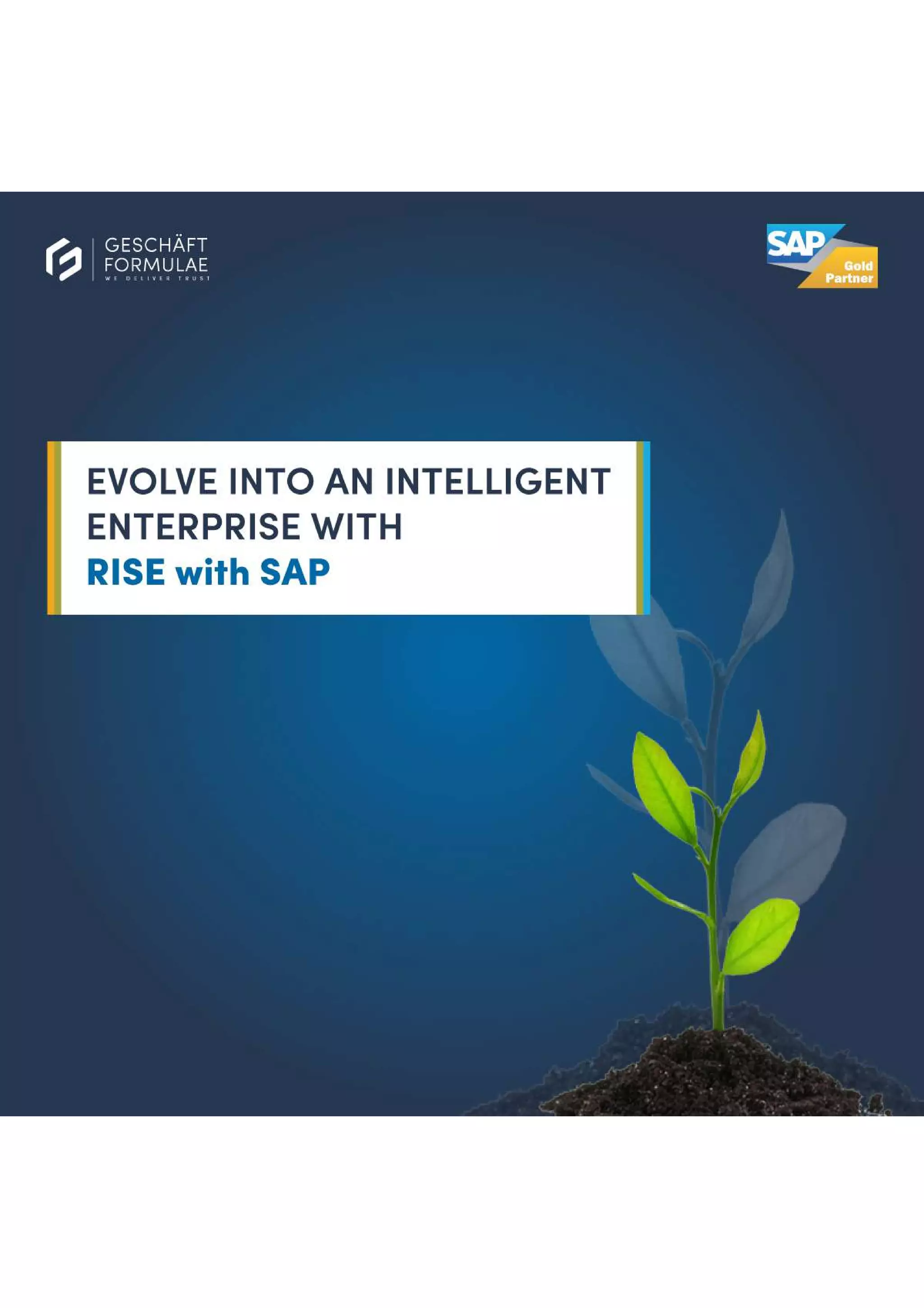 RISE with SAP | PDF | Free Download