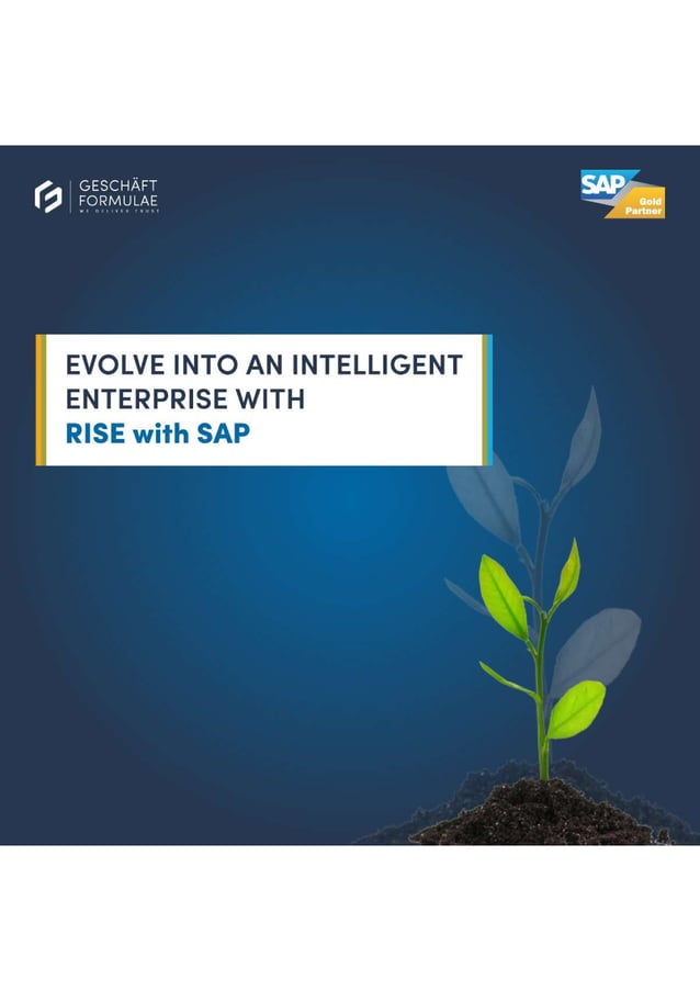 RISE with SAP | PDF