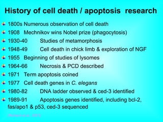 Apoptosis is a programmed cell death and this can by due to ...