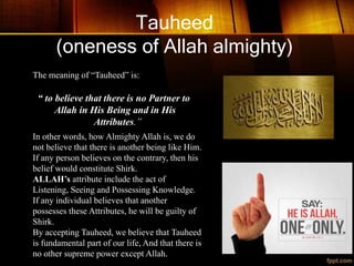 Characterstic of Islamic civilization and Social system of islam | PPTX