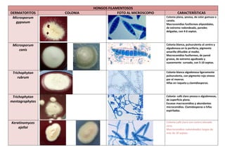 Atlas-Hongos-Del-Laboratorio.pdf