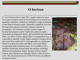 306 practical 1 | PPT