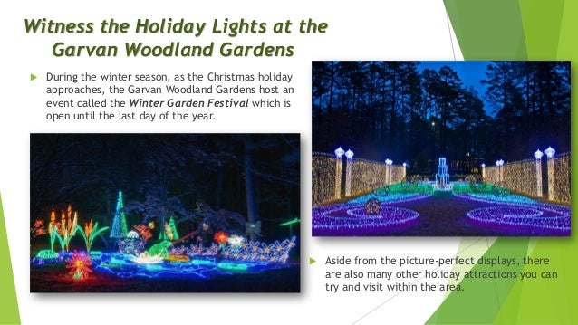 Hot Springs Arkansas Nightlife | PDF