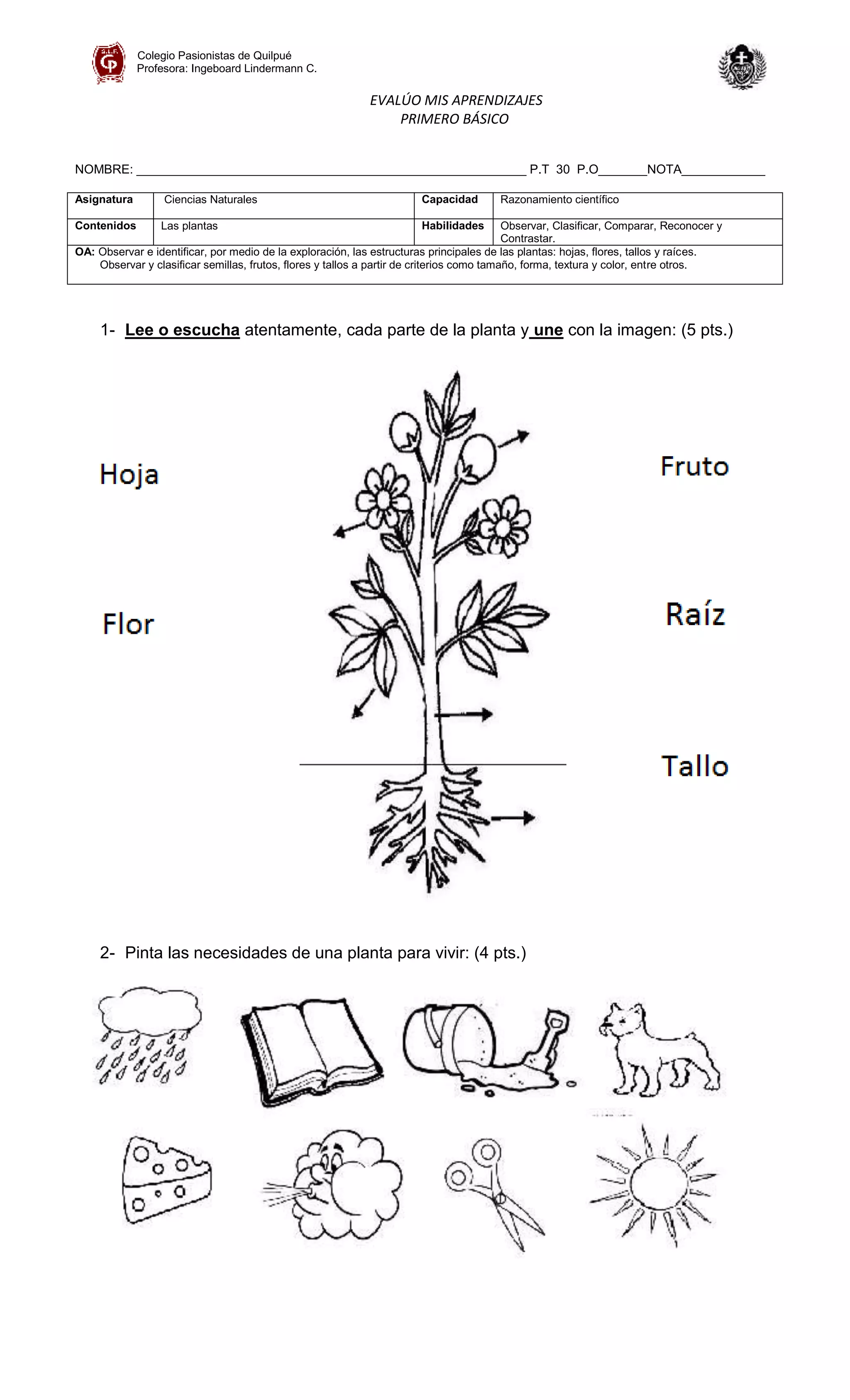 Las-Plantas.docx