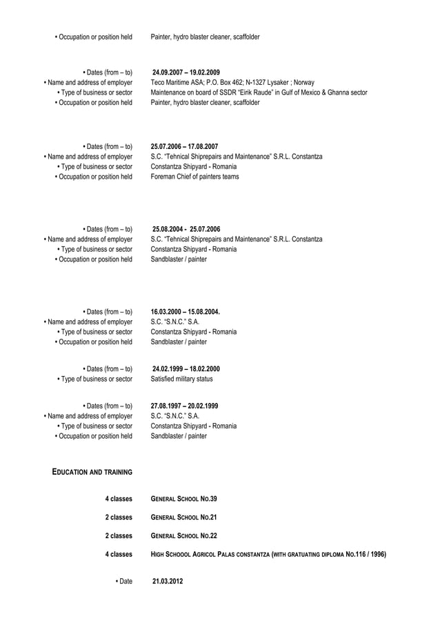 Mihai Casuneanu-CV | PDF