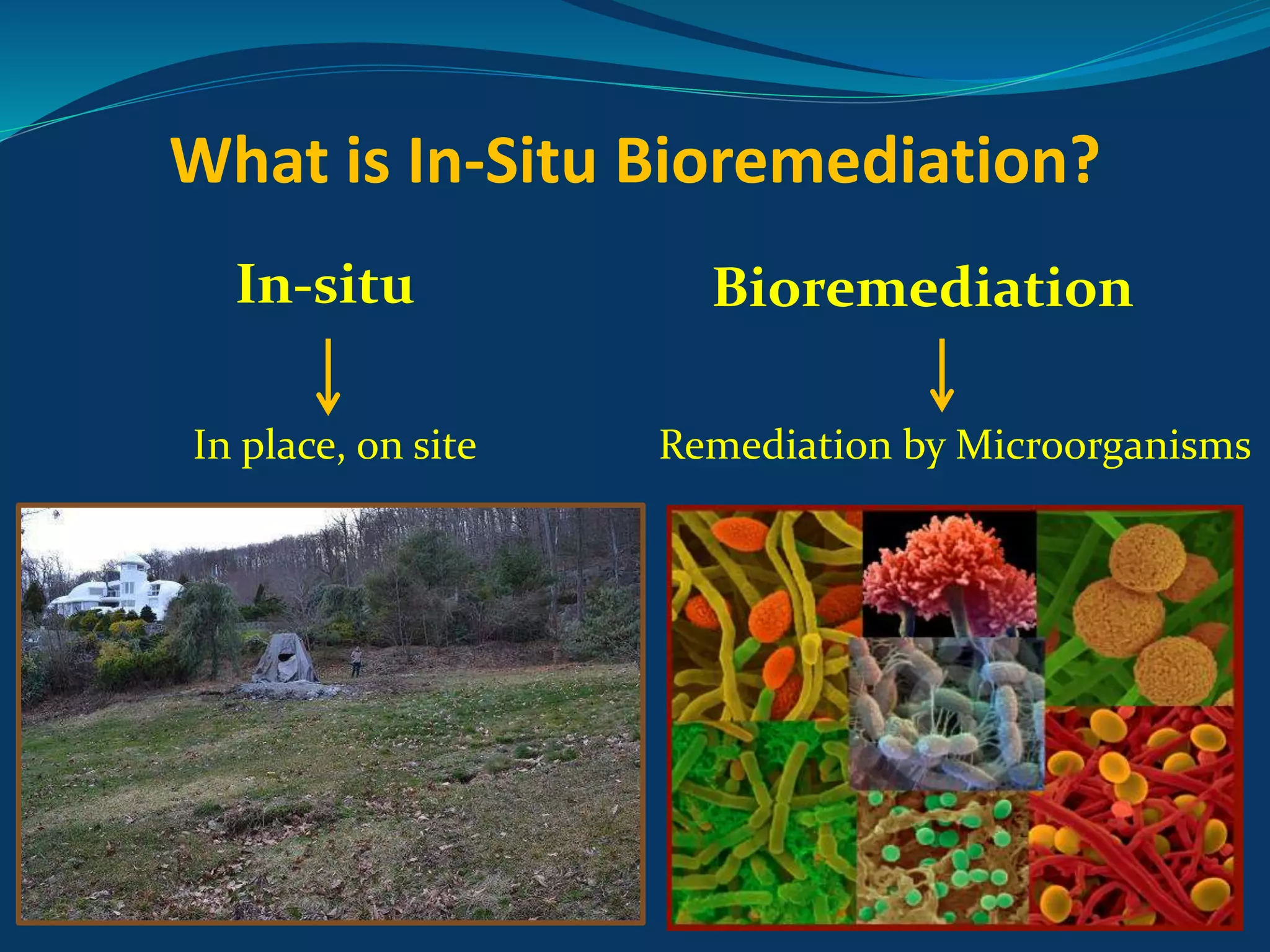 In-Situ Bioremediation for Contaminated Soil | PPTX