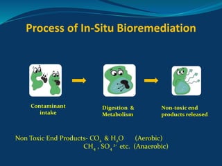 In-Situ Bioremediation for Contaminated Soil | PPTX