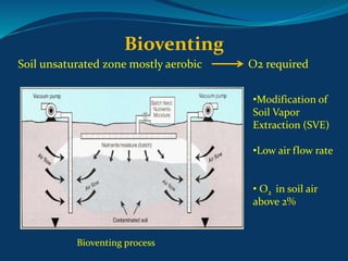 In-Situ Bioremediation for Contaminated Soil | PPTX