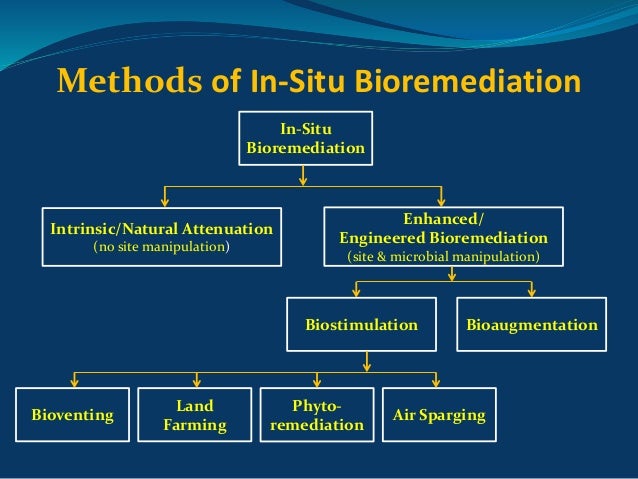 In-Situ Bioremediation for Contaminated Soil