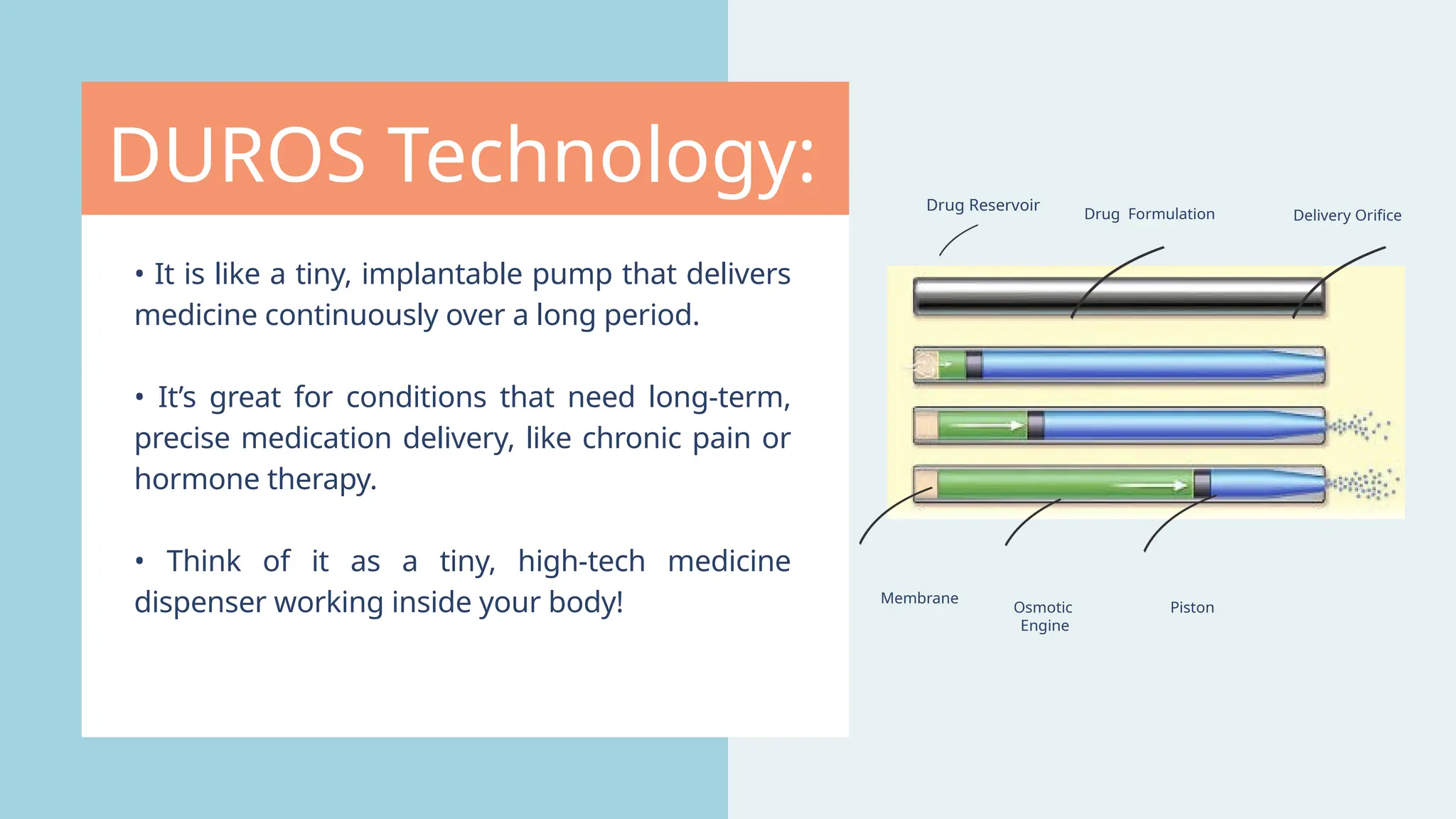 Multilayer drug delivery system: Tablet. | PPTX