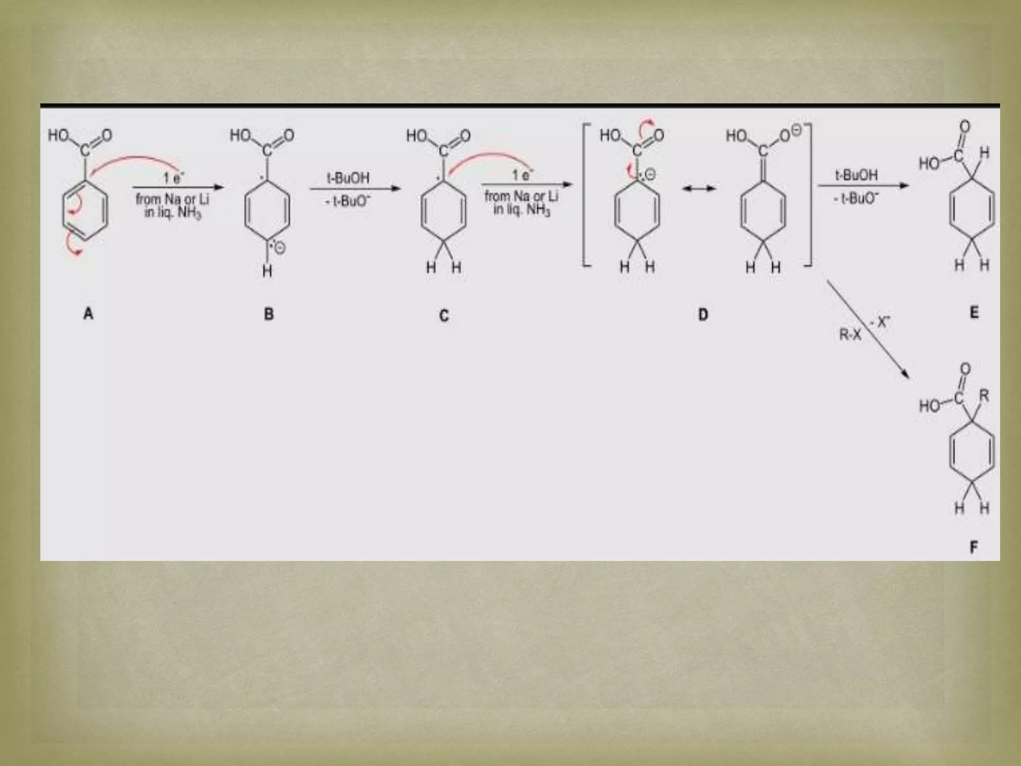 Birch reduction.pptx