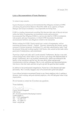 Recommendation COWI | PDF