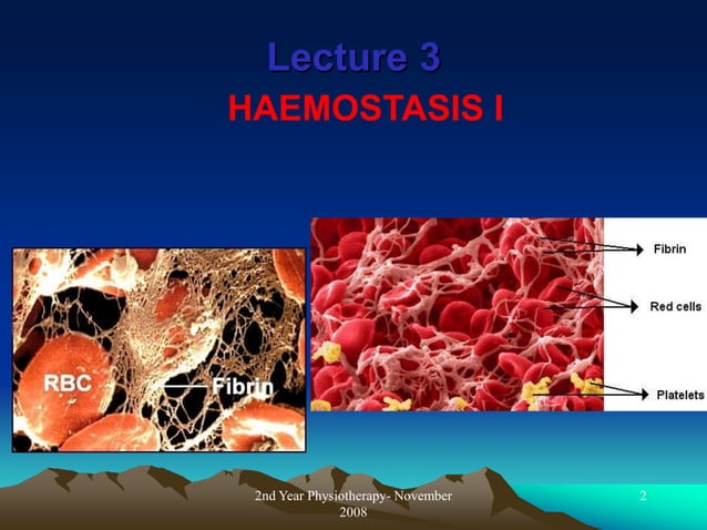 30976_Blood_L3_Hemostasis_pt_08[1]3.ppt