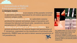 Malaria.ppt | PPTX