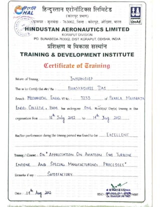 hal internship | PDF