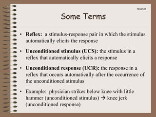 30 Conditioned reflex activity_50d76961c784233ac88e667da6a6fab4.ppt
