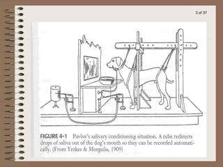 30 Conditioned reflex activity_50d76961c784233ac88e667da6a6fab4.ppt