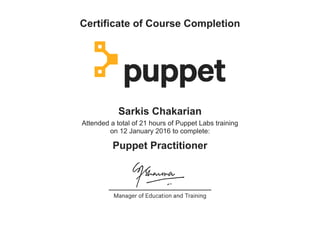 Puppet-Practitioner | PDF
