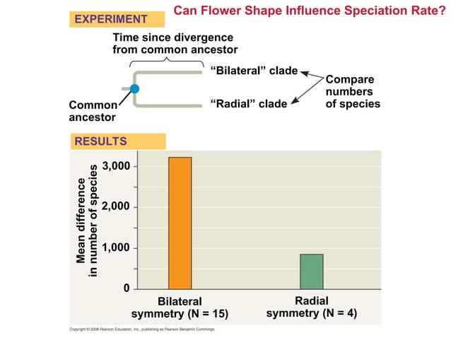 plant diversity30_lecture_presentation_0.ppt