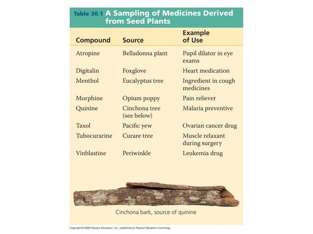 plant diversity30_lecture_presentation_0.ppt