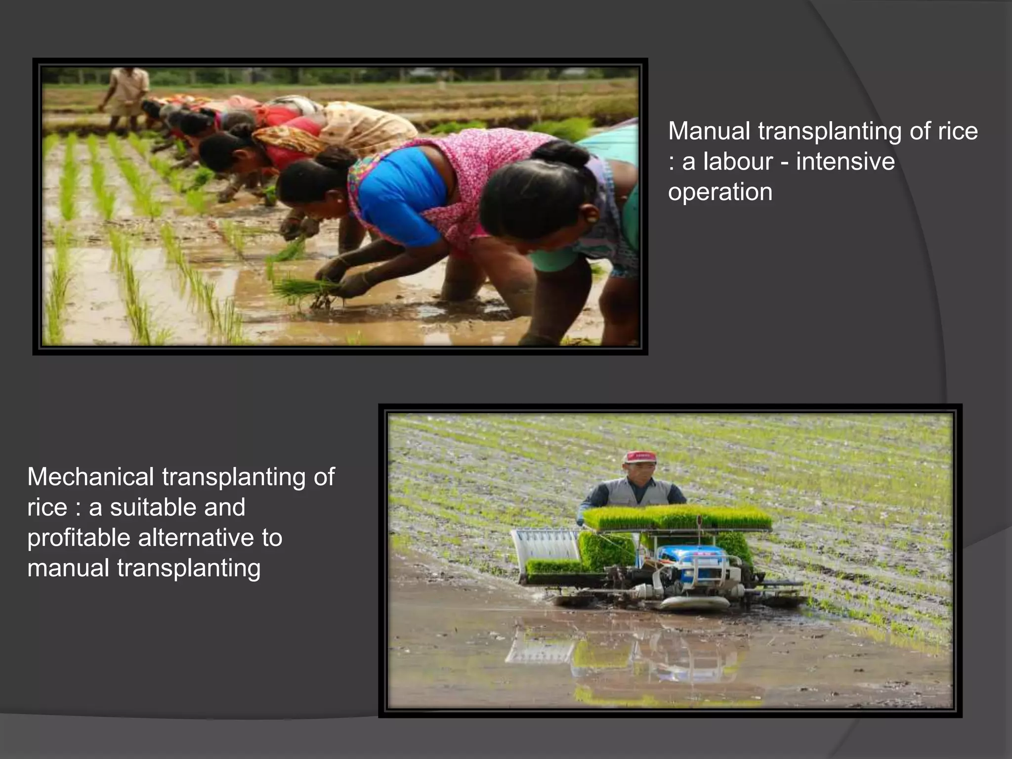 Paddy Transplanter Machine ppt | PPTX