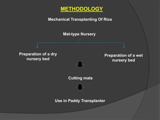 Paddy Transplanter Machine ppt | PPTX
