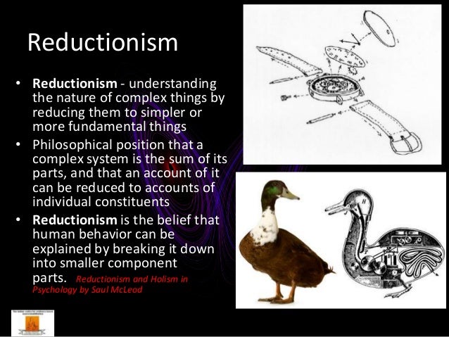 Reductionism In Philosophy