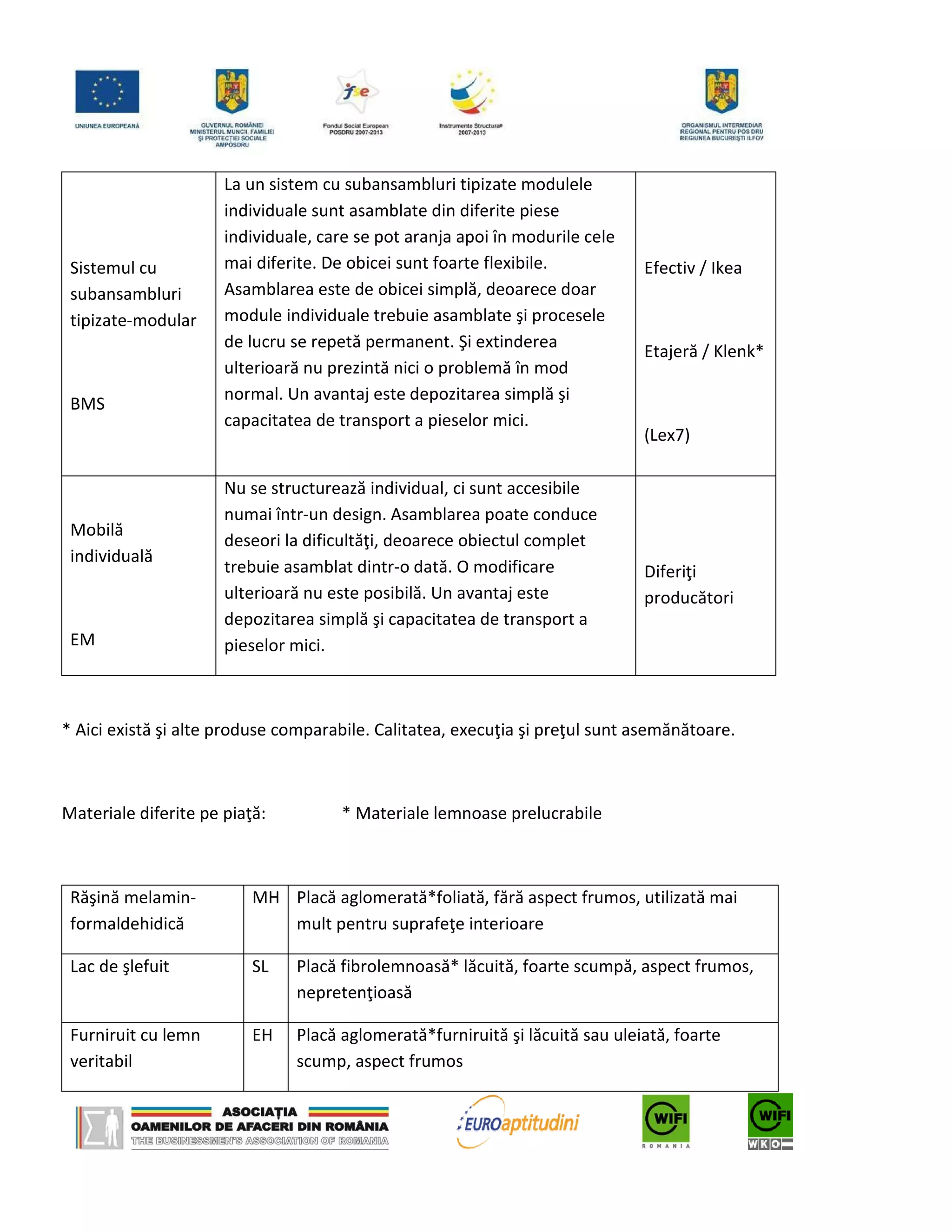 3 0 model plan de afaceri | PDF