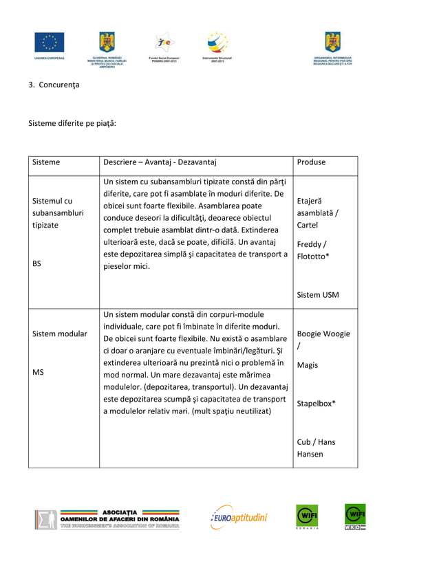 3 0 model plan de afaceri | PDF