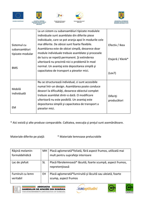 3 0 model plan de afaceri | PDF