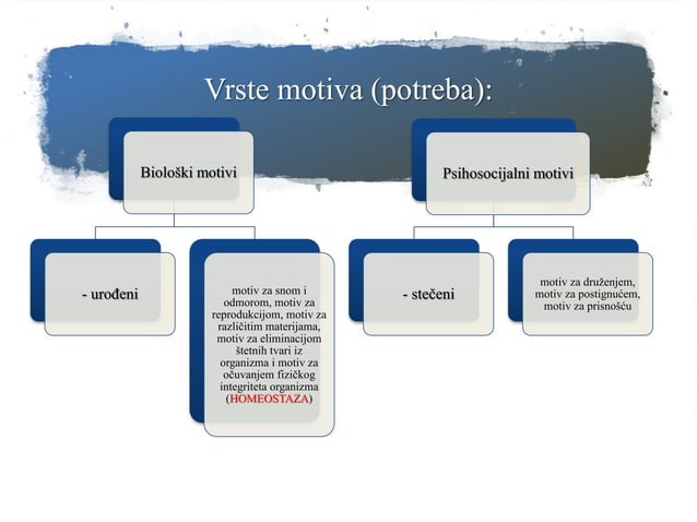 Motivacija.pptx